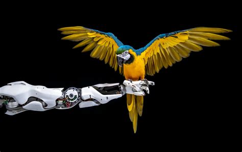hiro robot swift engineering innovate engineer build