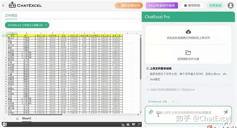 不是吧！都2025年了还有人不知道chatexcel可以直接替代excel函数做数据处理和分析！？（内附实操干货） 知乎