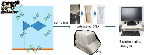 The General Edna Research Workflow Download Scientific Diagram