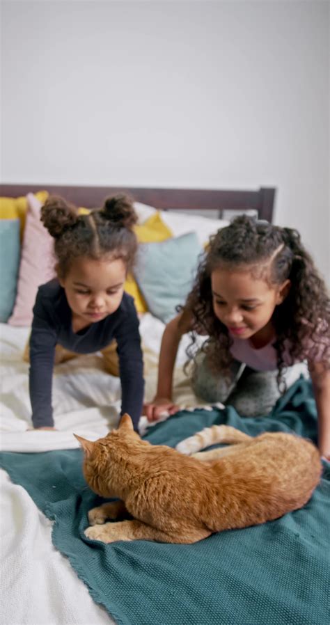 Shocking Moment Cute Girls With Cute 😺 Cat