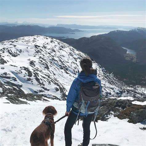 Ta En Pause Og Nyte Utsikten På Vei Opp