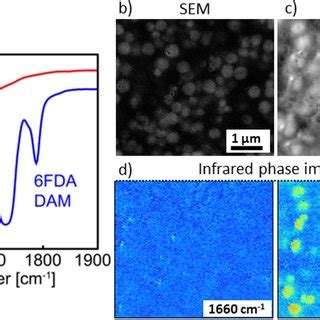 Xrd Patterns Of Zif 94 Powder Pure 6fda Dam Membrane And Mmms With
