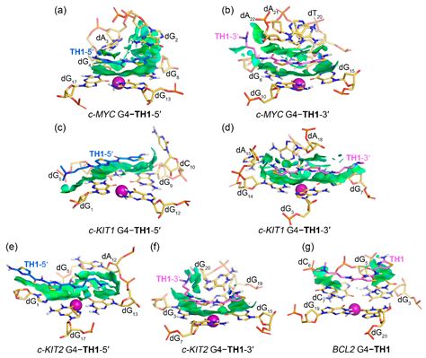 Molecular Insights Into The Specific Targeting Of C Myc G Quadruplex By Thiazole Peptides
