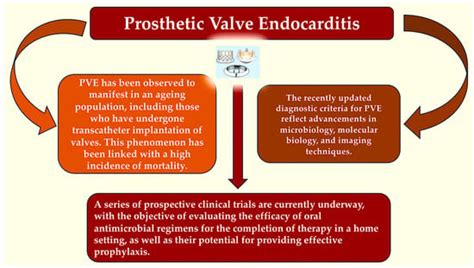Advancements And Challenges In The Management Of Prosthetic Valve