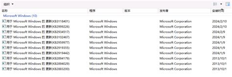 应用程序 Xxxexe Framework 版本 V4030319 说明 由于 Net 运行时中出现内部错误，进程终止 位于