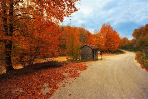 Autumn Bursa Forest House Landscape Road Sky Tree Turkey Hd