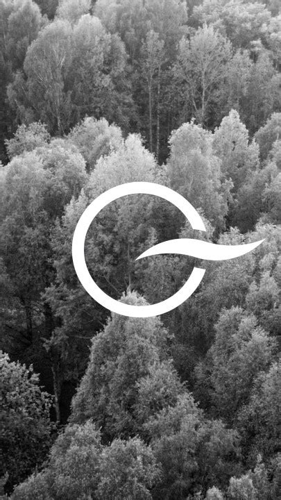 Video Cecilia Devoto Posted On Linkedin