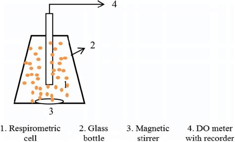 Schematic Of Respirometer Used In This Study Download Scientific Diagram