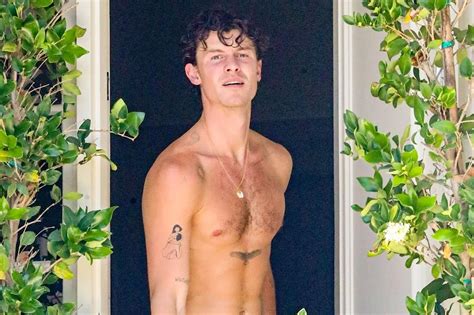 Shirtless Shawn Mendes Flaunts His New Chest Tattoo And More Star Snaps