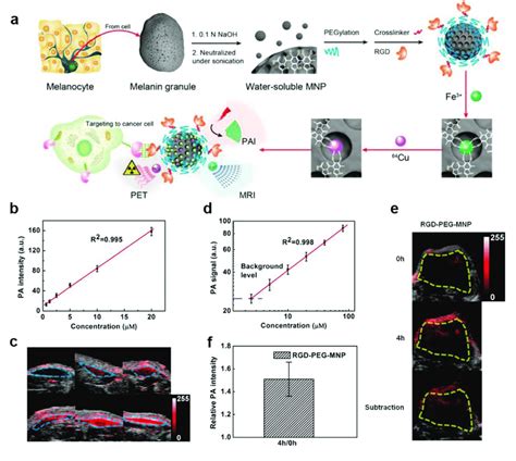 Multimodality Molecular Imaging Of Ultrasmall Melanin Nanoparticles