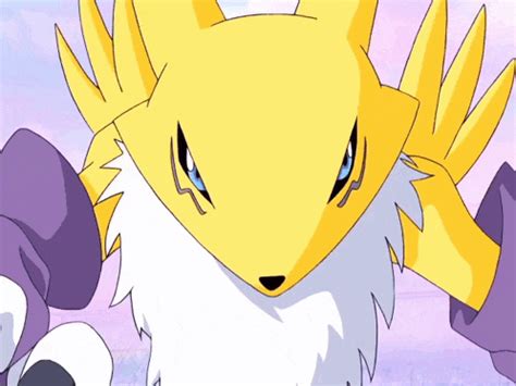 Renamon Digimon  Renamon Digimon Digimon 03 Discover And Share S