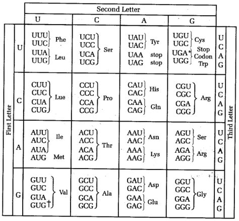 Neet Biology Notes Molecular Basis Of Inheritance Genetic Code Cbse Tuts