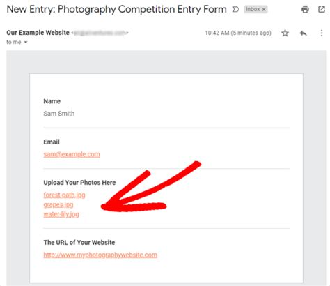 How To Create A File Upload Form In Wordpress