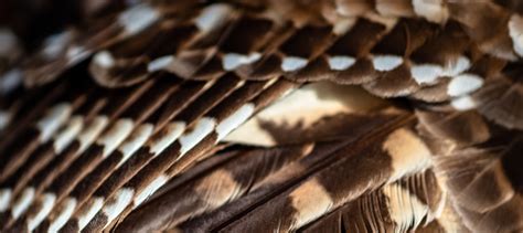 One Stop Shop Qa For Software Development Companies — A1qa