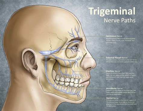 My Trigeminal Neuralgia Story Home