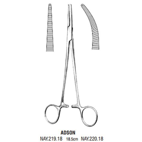 Adson Norfolk International