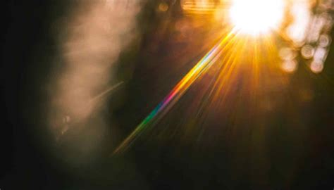 embracing the light the art of the lens flare in photography