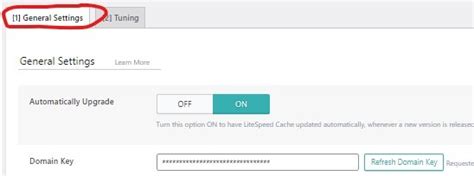 LiteSpeed Cache Configuration A Complete 14 Steps Guide DigiBiscuit