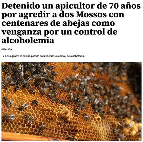 Top Memes De Abejas En Español Memedroid