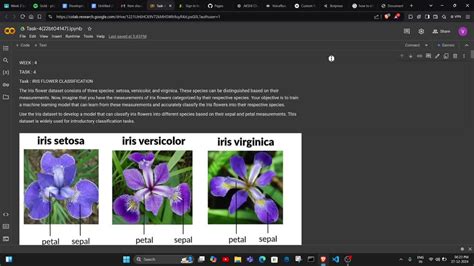 Sumit Kumar On Linkedin Machinelearning Datascience Classification Irisdataset Python