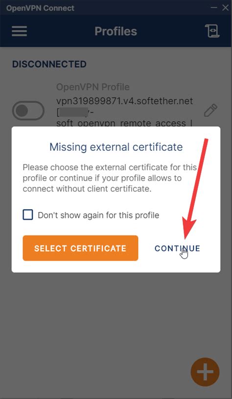 usage guidelines oracle 9 with softether vpn server virtual pulse s