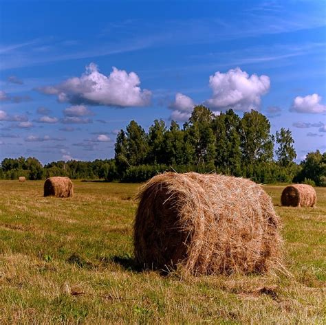 Bashkir Translation Services Polilingua