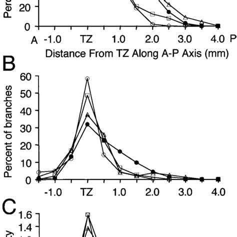 Development Of Topographic Projection From Peripheral Temporal Retina Download Scientific