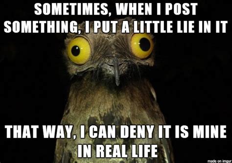 Im A Bit Paranoid Meme On Imgur