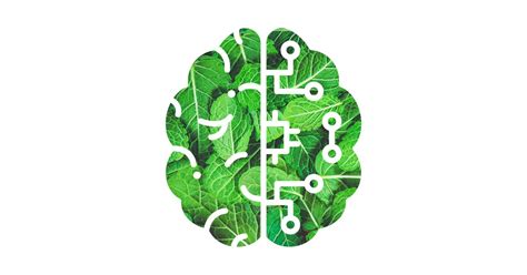 Understanding Menthol Tobacco Stops With Me