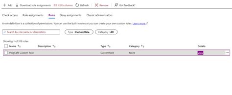 Custom Owner Roles