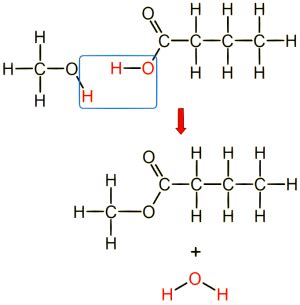 Esters How Are They Made And What Are They Used For Ask Will Online
