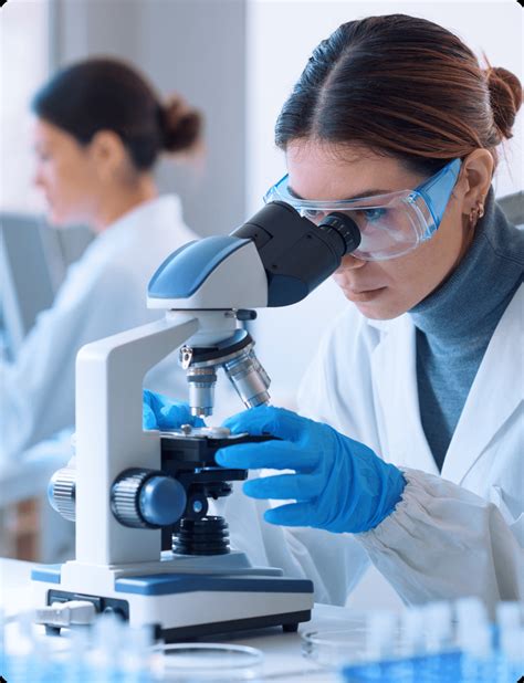 How Max Planck Digital Library Accelerated Research Workflows