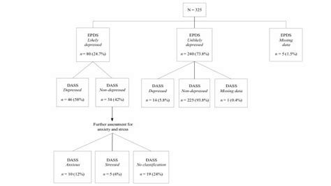 Dass 21 Classifications For Women Identified As Depressed On The Epds