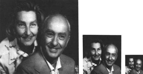 An Example Of Gaussian And Laplacian Pyramids From The Same Input Download Scientific Diagram