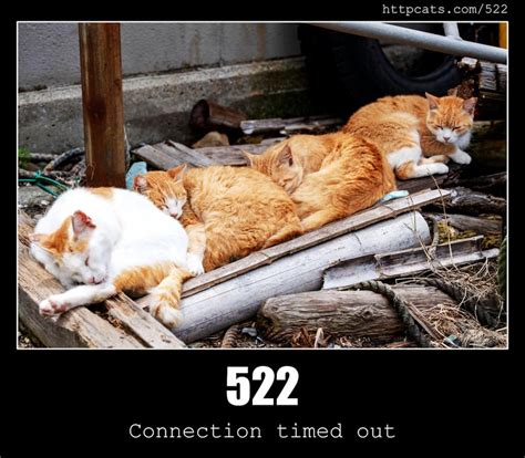 522 Connection Timed Out Status Code And Cats