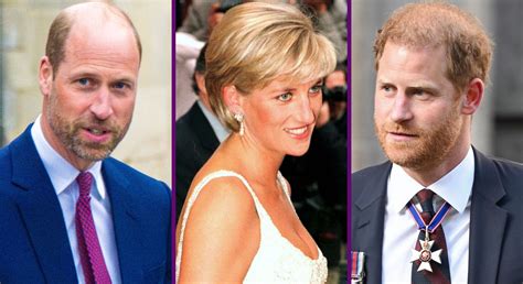 Princess Diana And Prince William Shared Concern Over Harry In Last