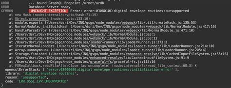 Runtime Crash 0308010cdigital Envelope Routinesunsupported · Issue 766 · Theraptlabgsgo