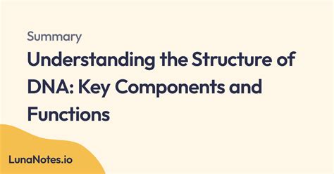 Understanding The Structure Of Dna Key Components And Functions Video Summary By Lunanotes