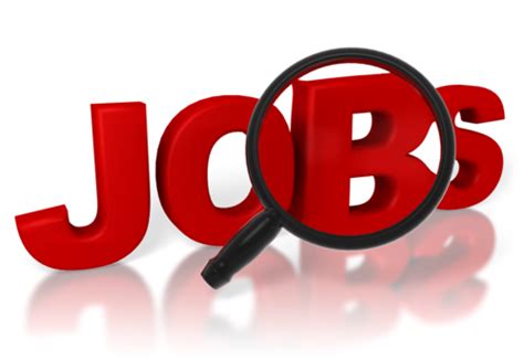 Navigating The Evolving Job Market