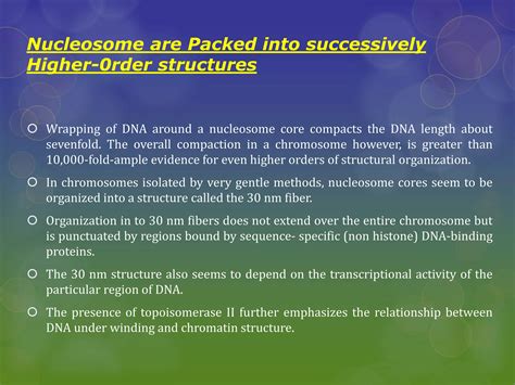 Organization Macromolecule Complex Pptx Chemistry Science