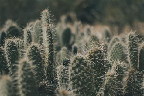 Stakeholder Management And Communication Moorfields