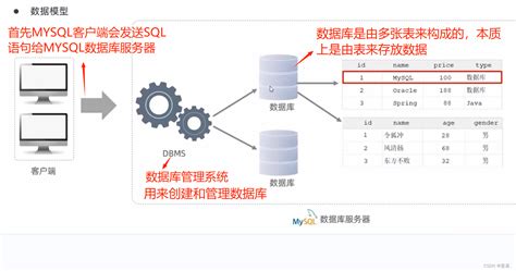 【数据库 黑马笔记】基础 Sqlsql数据库入门教程黑马 Csdn博客