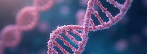 Rna Polymerase And Transcription