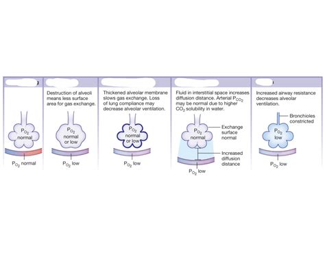 Diffusion Problems Quiz