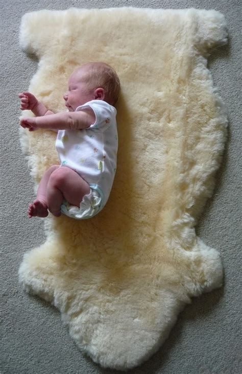 Everyone Knows Sheepskins Are Sexy But How Do You Deal With The Aftermath Dartmoor Sheepskins