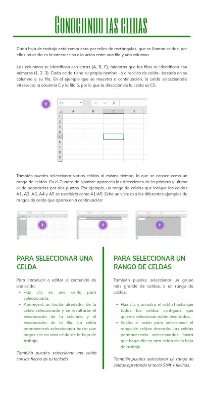 Conociendo Las Celdas
