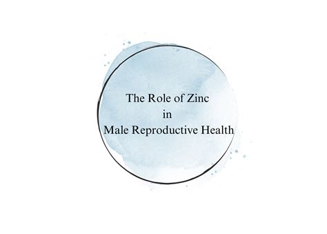 The Role Of Zinc In Male Reproductive Health Fertile Moon