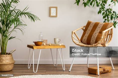 나무 안락 의자 많은 식물 컵 책 바구니 모형 사진 프레임 카펫 및 개인 액세서리가있는 우아하고 보헤미안 거실의 창조적 인 구성