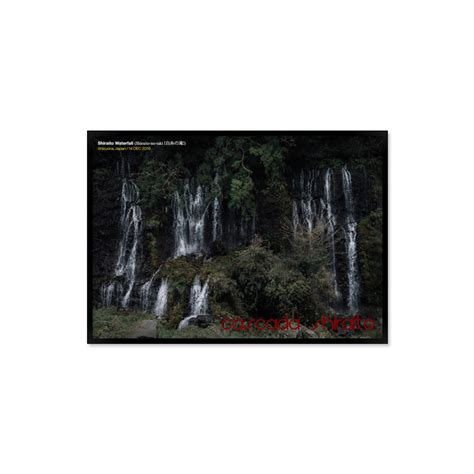 프리미엄 리빙플랫폼 르위켄