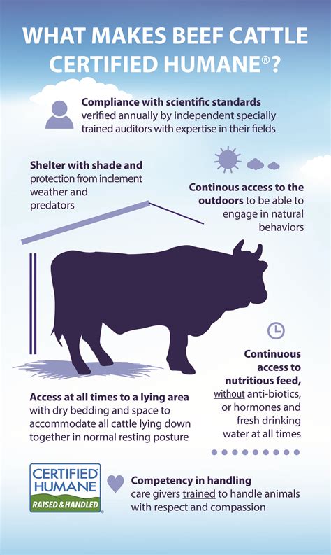 Why Certified Humane® Certification Is Important To Our Ranchers And
